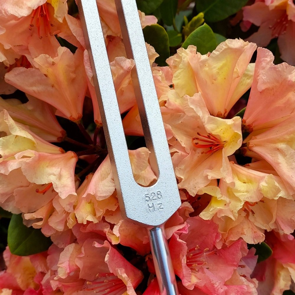 Frekvence 528 Hz :: Meditační nástroje